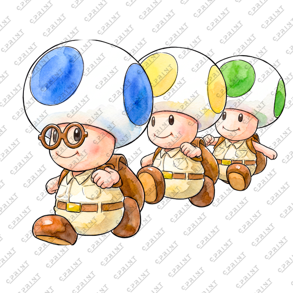 SUPER MARIO GALAXY - TOAD CHARACTER – C Print USA