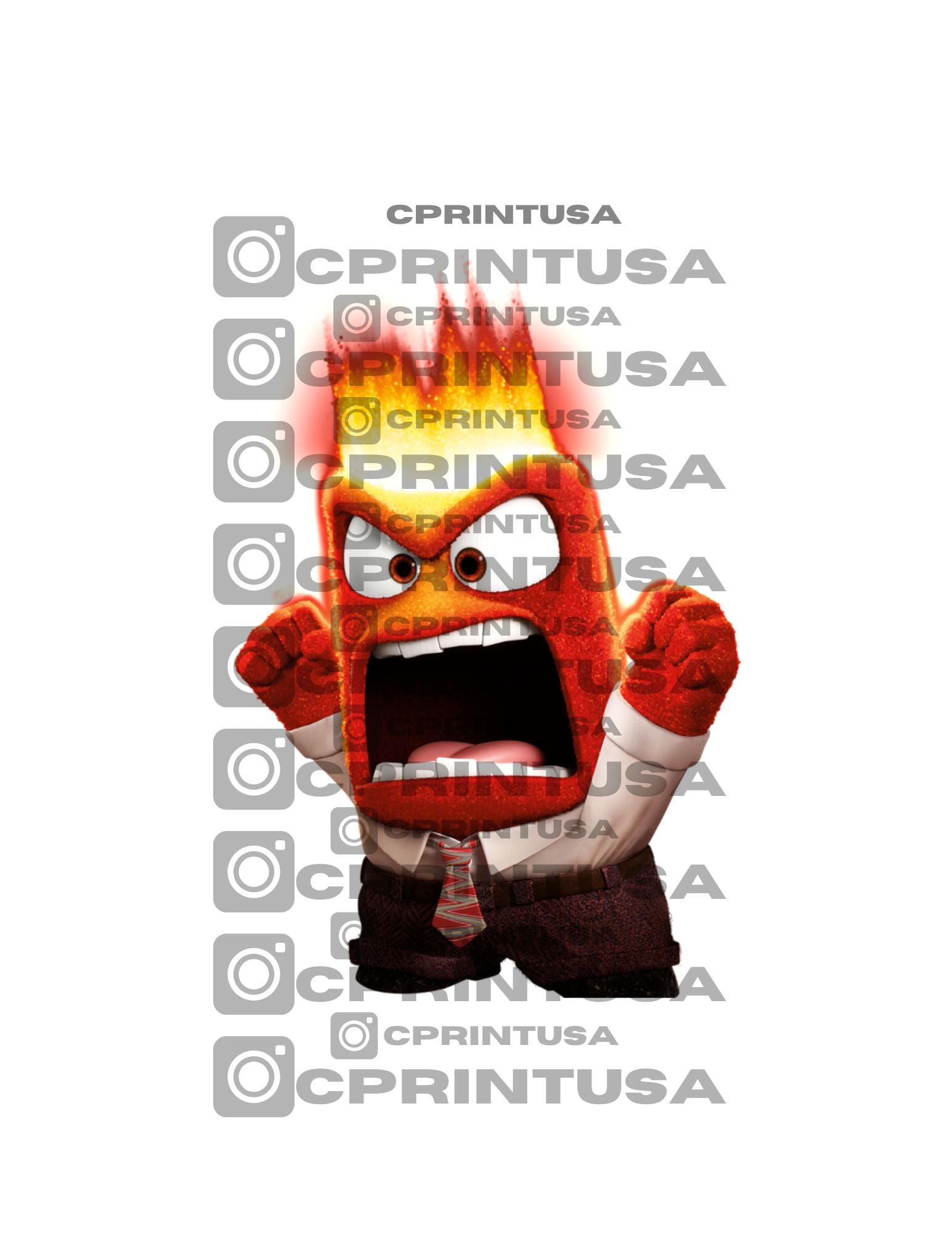 INSIDE OUT CUT OUT – C Print USA